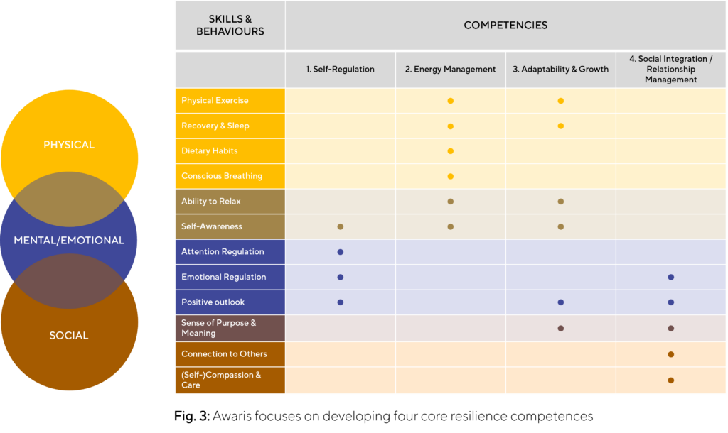 The Awaris Resilience Framework - Awaris